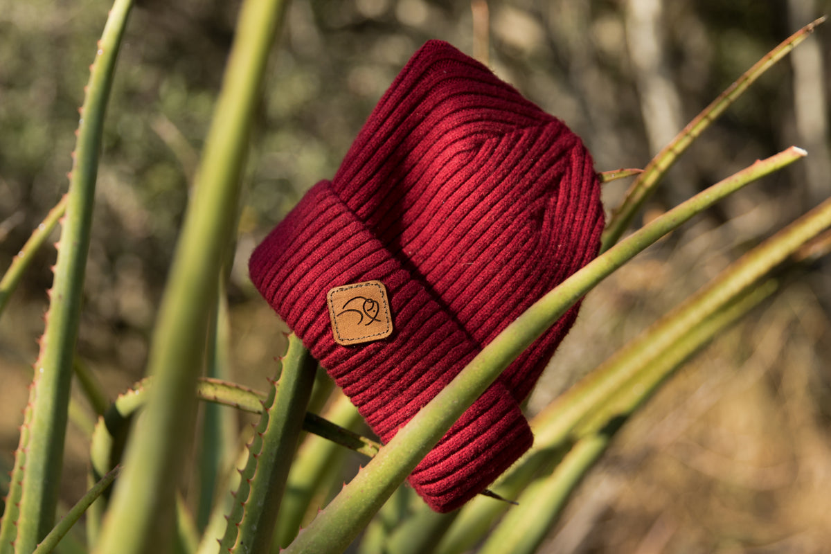 the maroon baboon – ellie and may